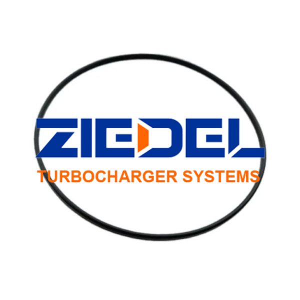 Cylinder Liner Seal Ring 3907177 for Cummins | Ziedel