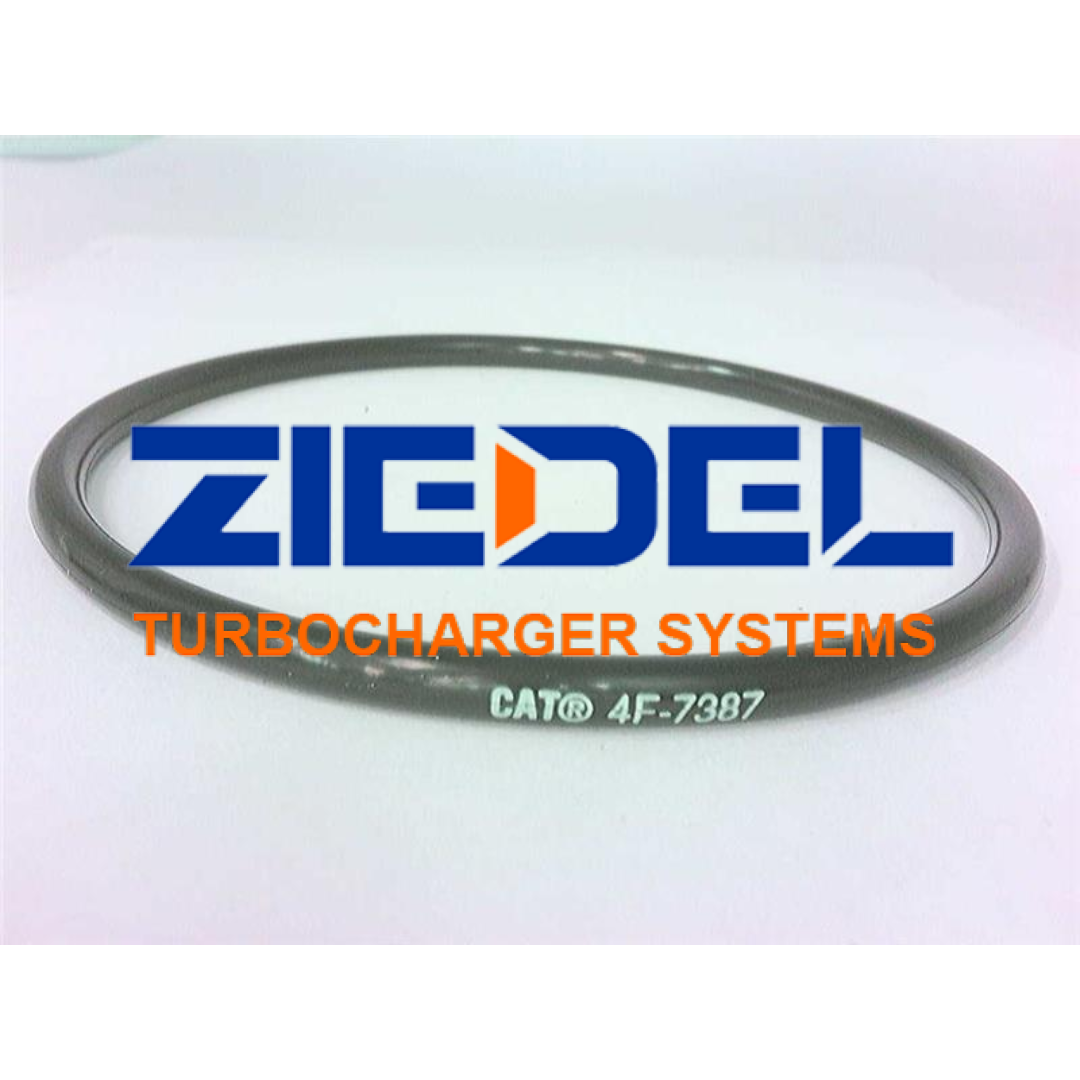 SEAL-O-Ring 4F-7387 for CATERPILLAR - Ziedel
