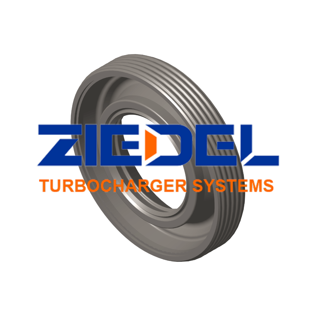 Injector Gasket 5255313 for Cummins - Ziedel