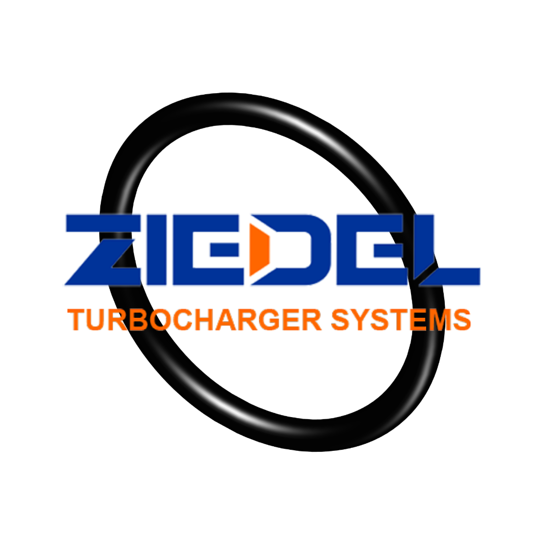 O Ring Seal 3032787 for Cummins | Ziedel