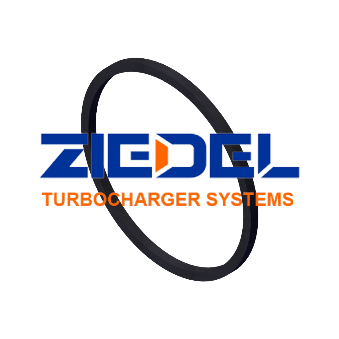 Rectangular Ring Seal 3820946 for Cummins - Ziedel