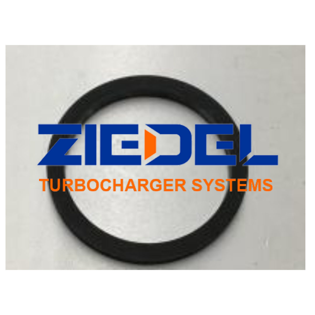Rectangular Ring Seal 4983908 for Cummins - Ziedel