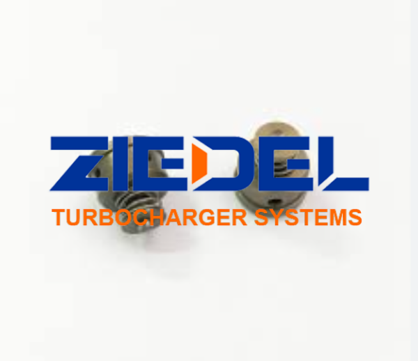 CP4 Injection Pump Delivery Valve - Ziedel