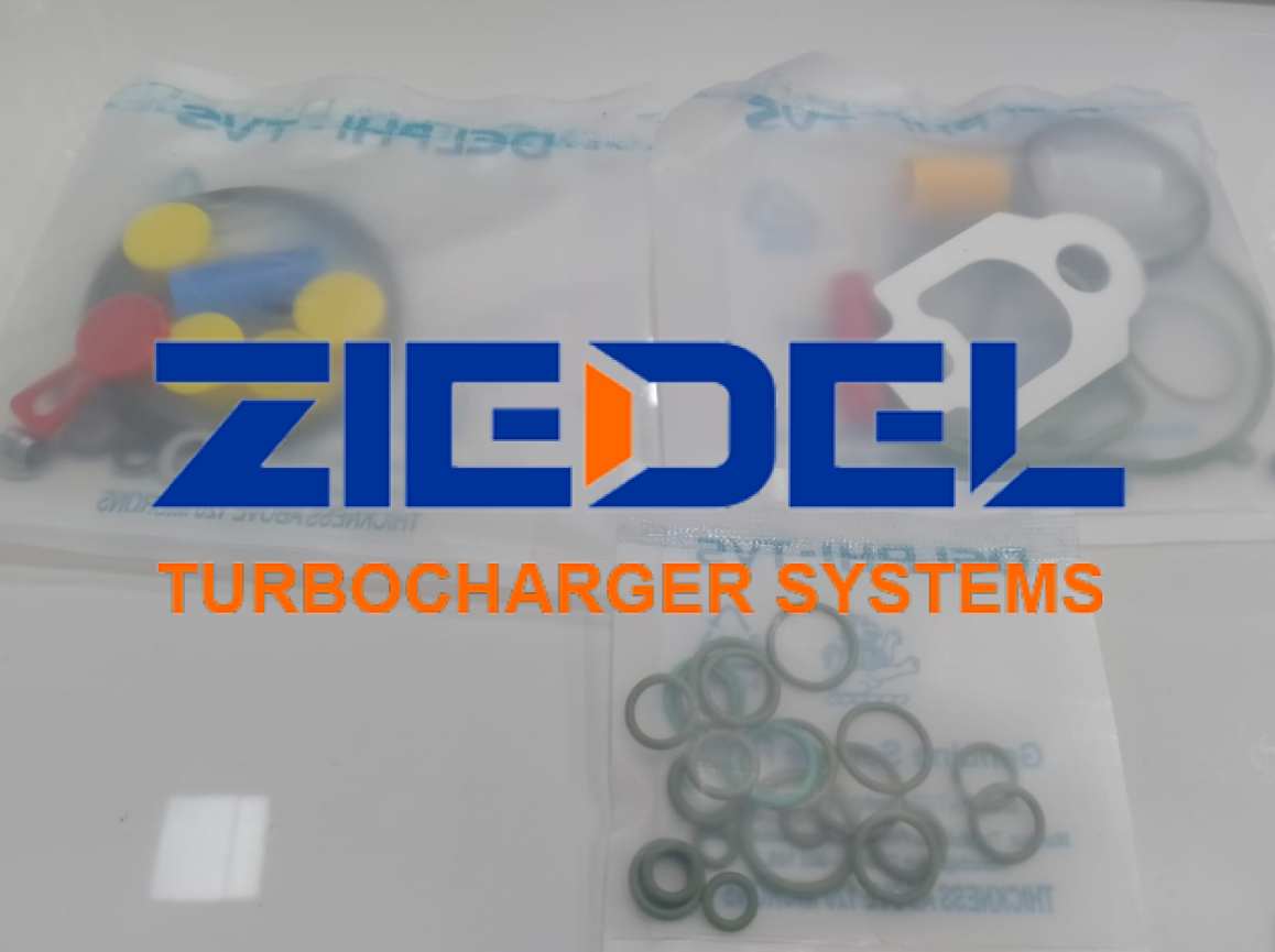 Common Fuel Injection Pump Kit 9188-057 Genuine Delphi Dp310 Mini ...